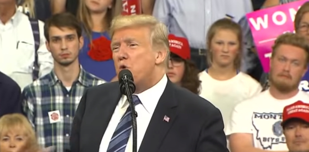Plaid Shirt Guy, MAGA Hat Girl and Eye Roll Guy Walk Into A Trump Rally
