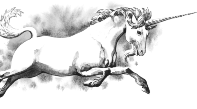 TNB Night Owl – German Unicorn Flower Show