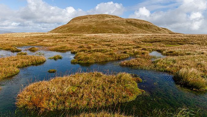 TNB Night Owl – Bog Snorkeling