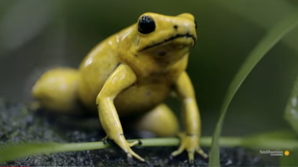 Angzarr_Unicode_symbol